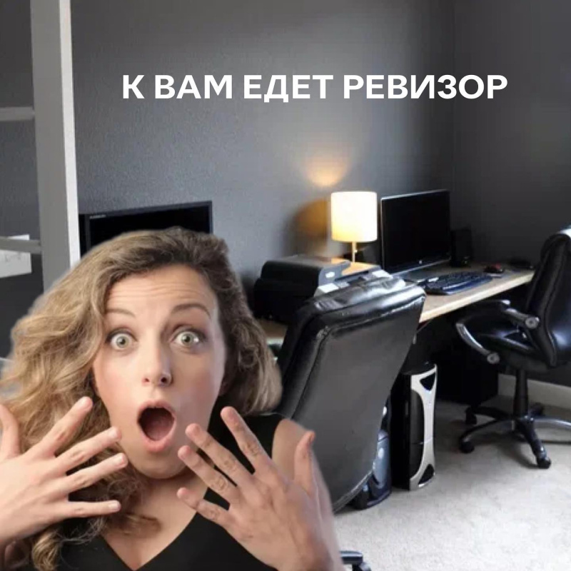 К вам едет РЕВИЗОР!!!